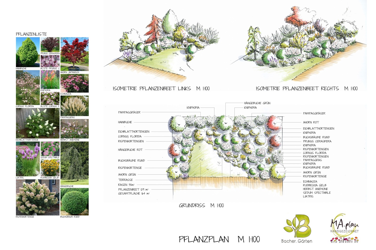 Pflanzplanung - MA.plan Freiraumplanung - Manuela Öttl Burgmann ...