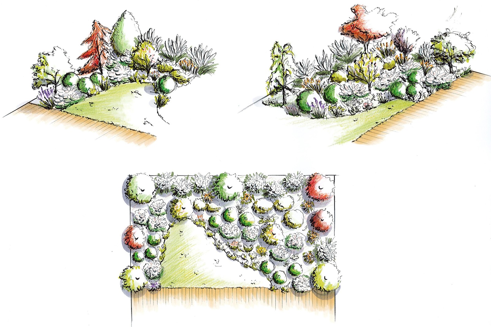 Pflanzplanung - MA.plan Freiraumplanung - Manuela Öttl Burgmann ...